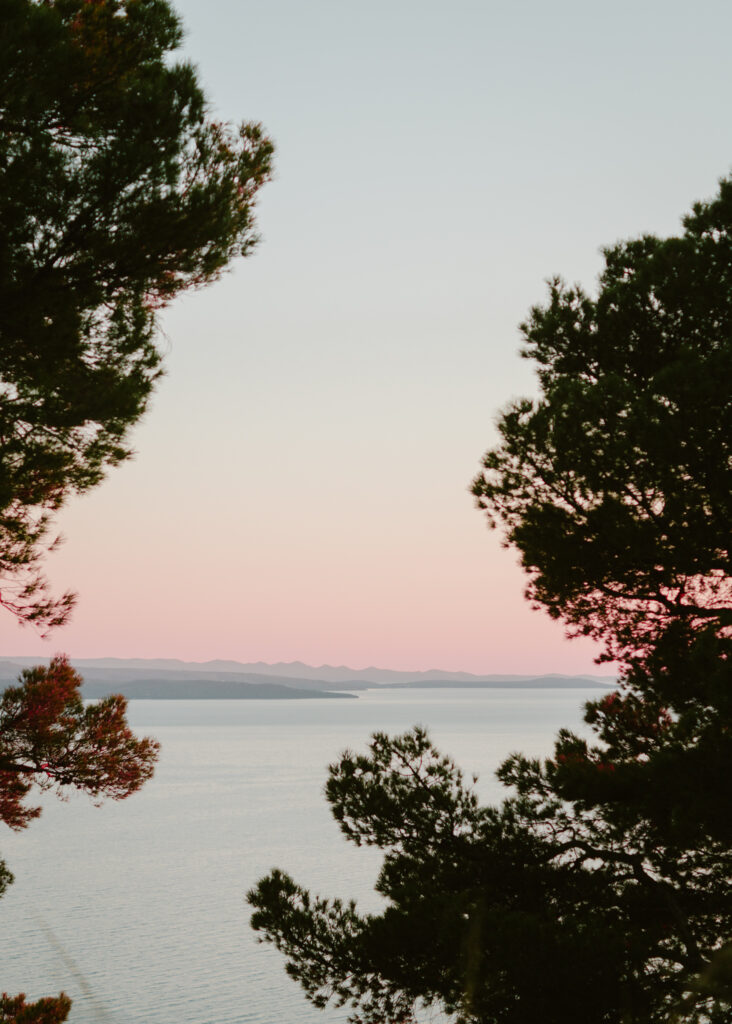 A walk a day to chase reluctantness away; or how my 100 walks challenge ...